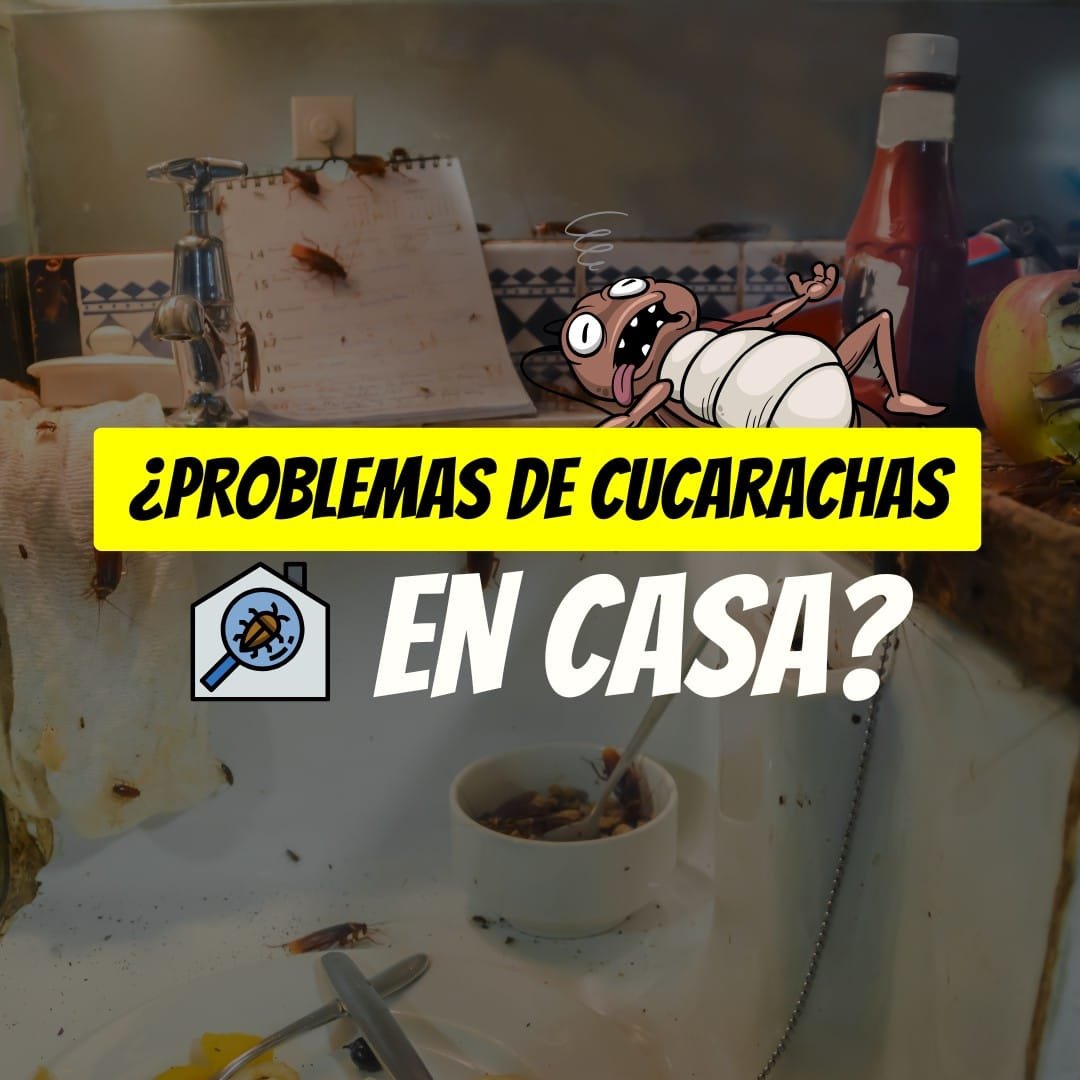 NaNai QK´s: Insecticida Natural para Cucarachas