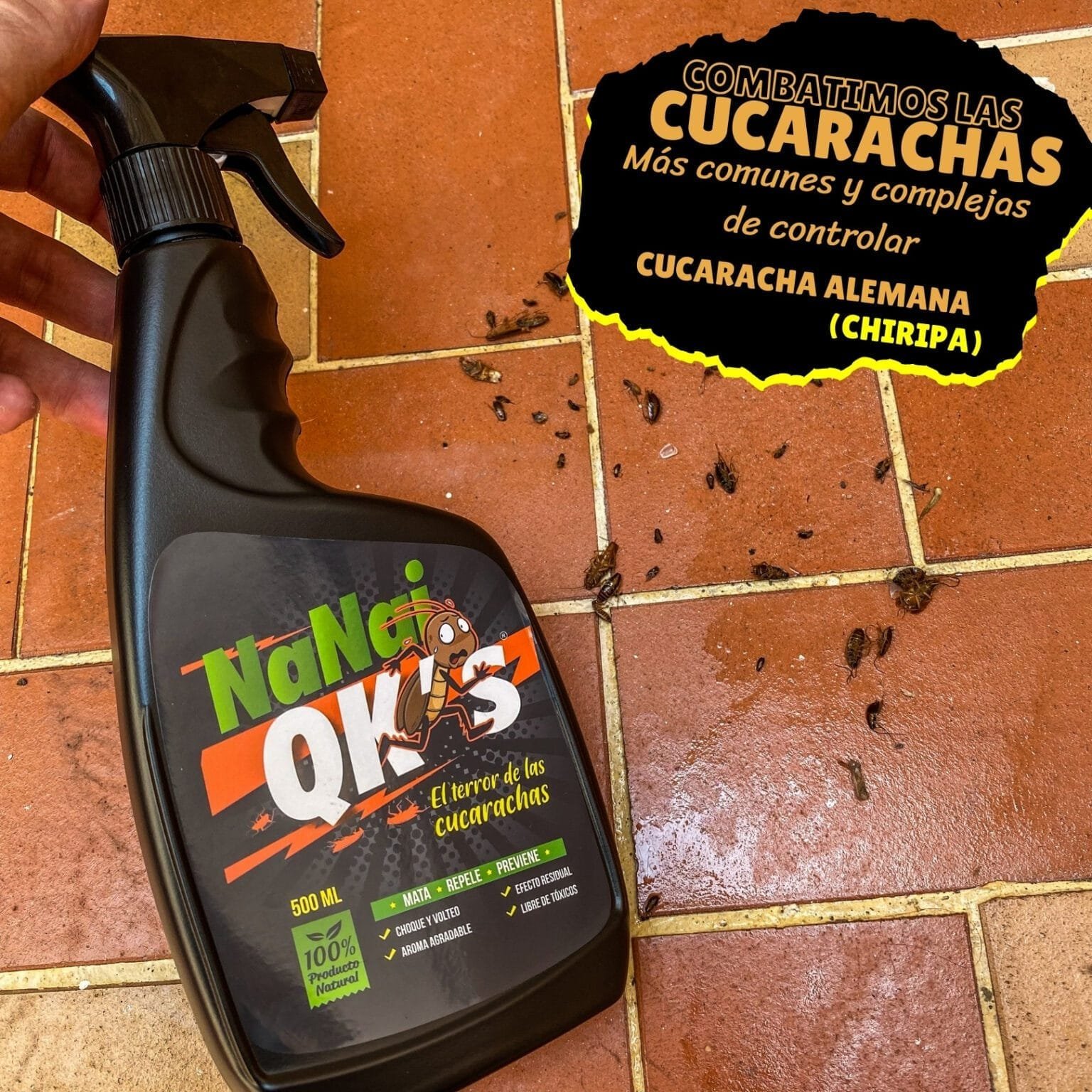 NaNai QK´s: Insecticida Natural para Cucarachas