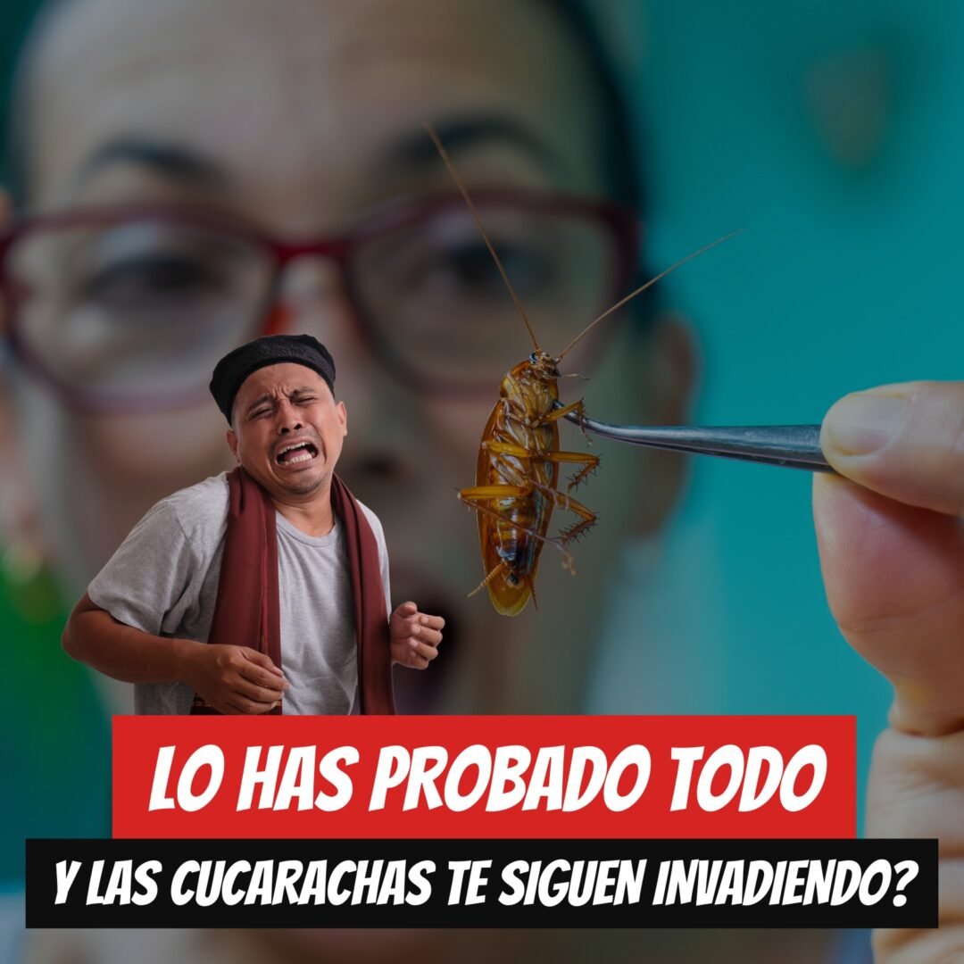 NaNai QK´s: Insecticida Natural para Cucarachas