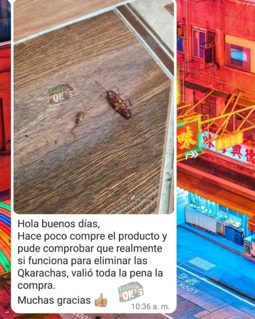 NaNai QK´s: Insecticida Natural para Cucarachas